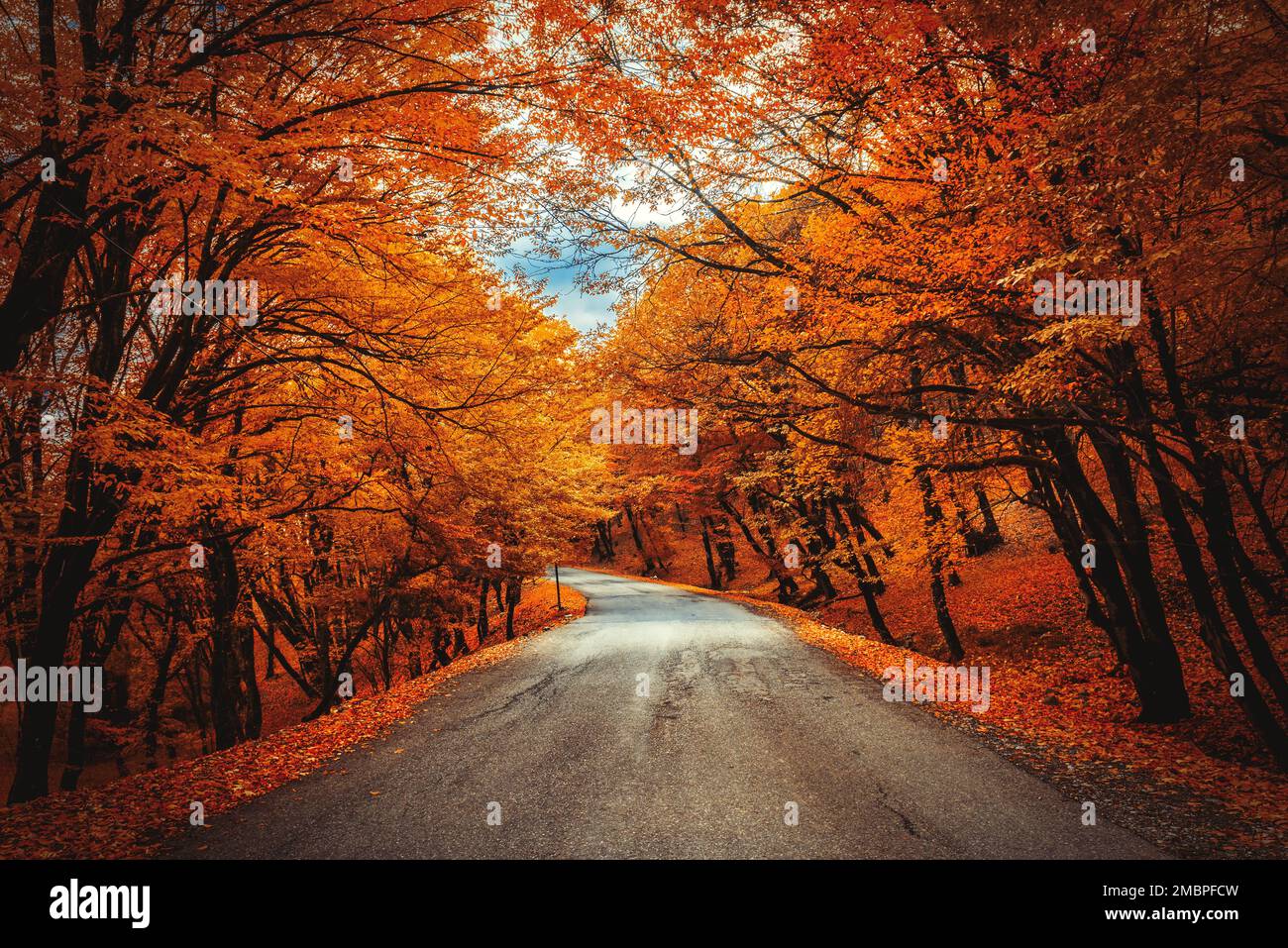 Road in yellow autumn hi-res stock photography and images - Alamy