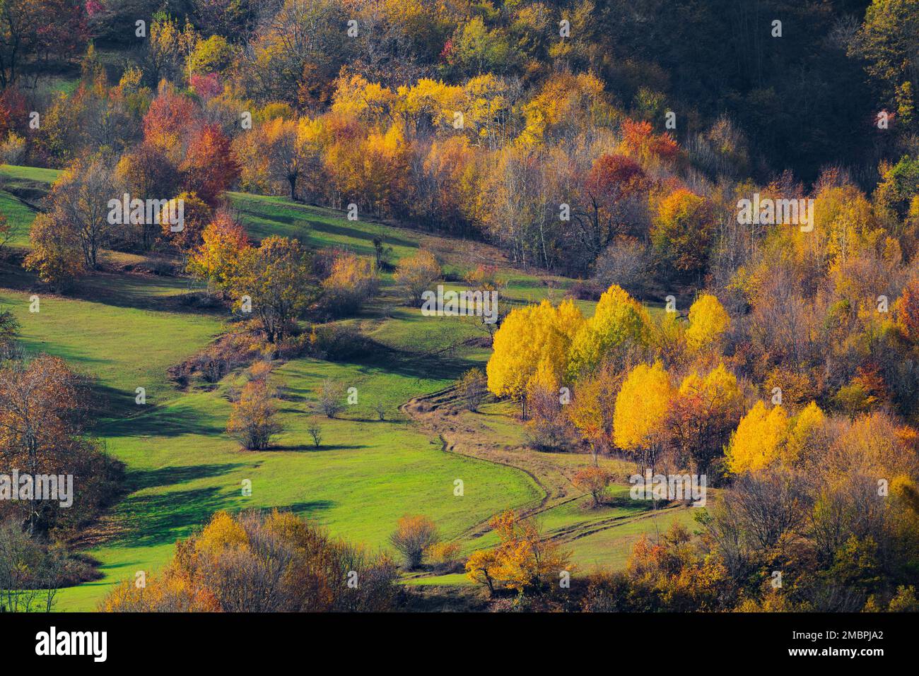 Yellow slope hi-res stock photography and images - Alamy