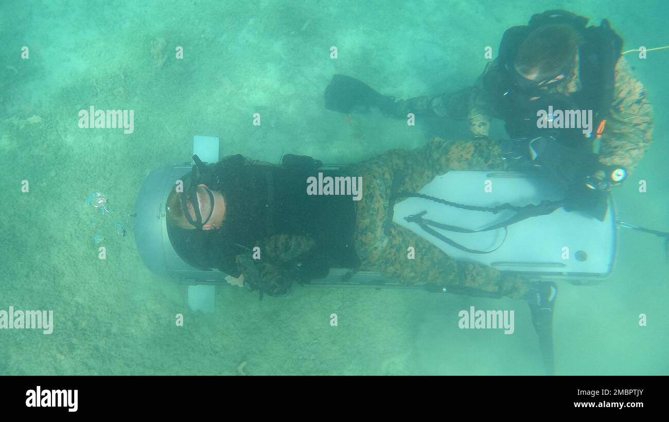 U.S. Marines with 2d Reconnaissance Battalion, 2d Marine Division ...