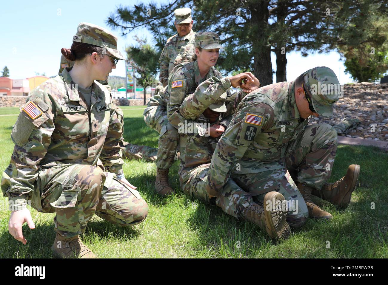 332nd med log hi-res stock photography and images - Alamy
