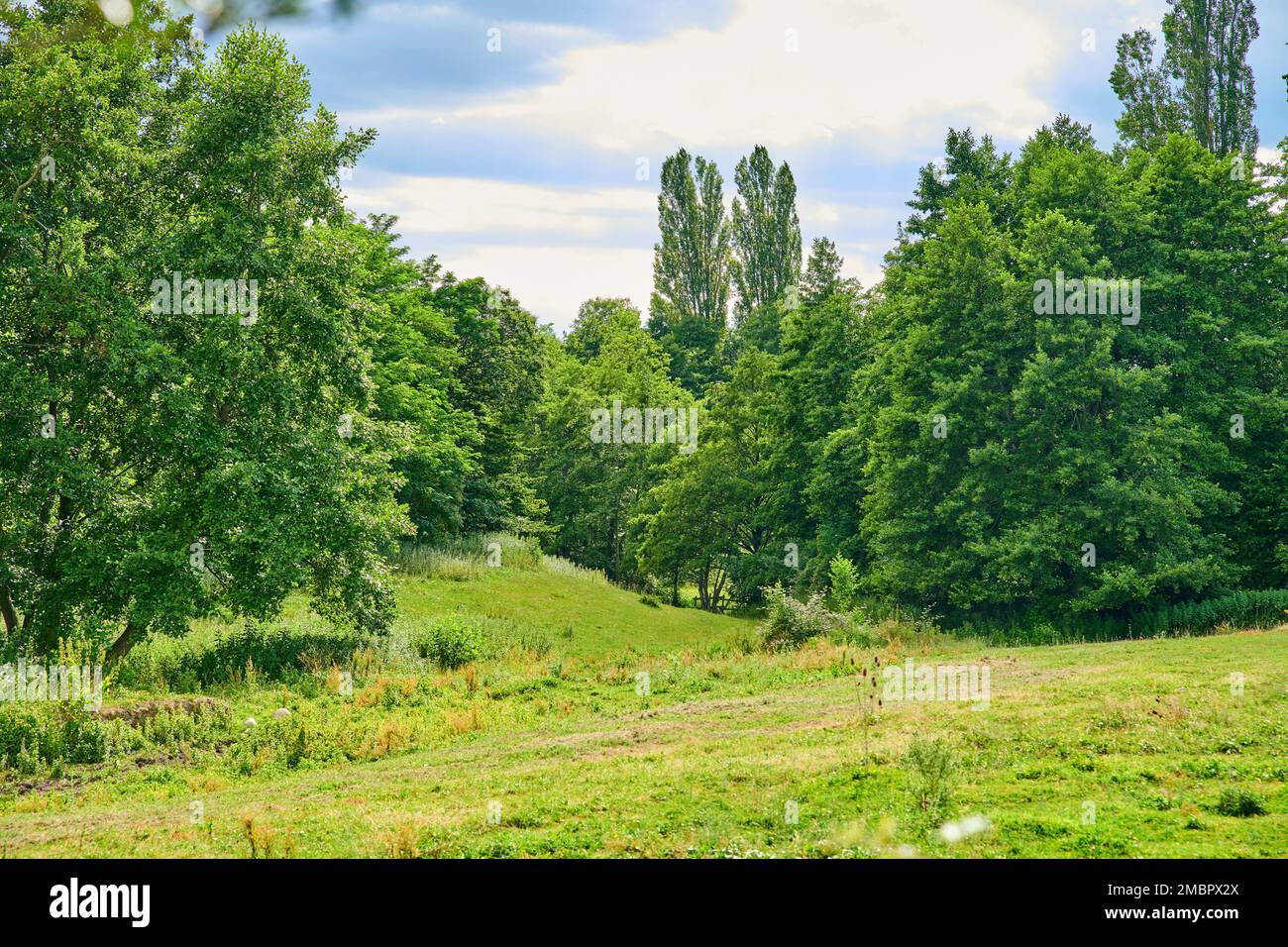 Countryside, farmland and forest - close to Lyon, France. A series of ...