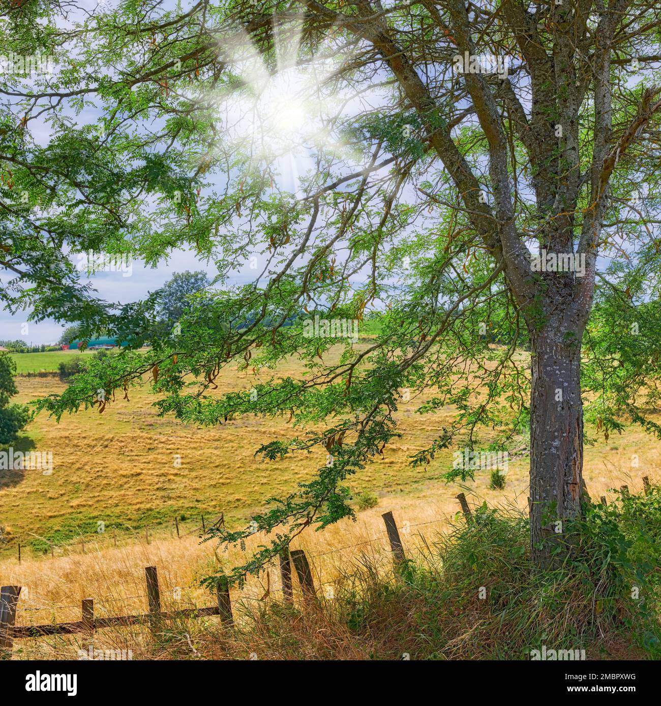 Countryside, farmland and forest - close to Lyon, France. A series of ...