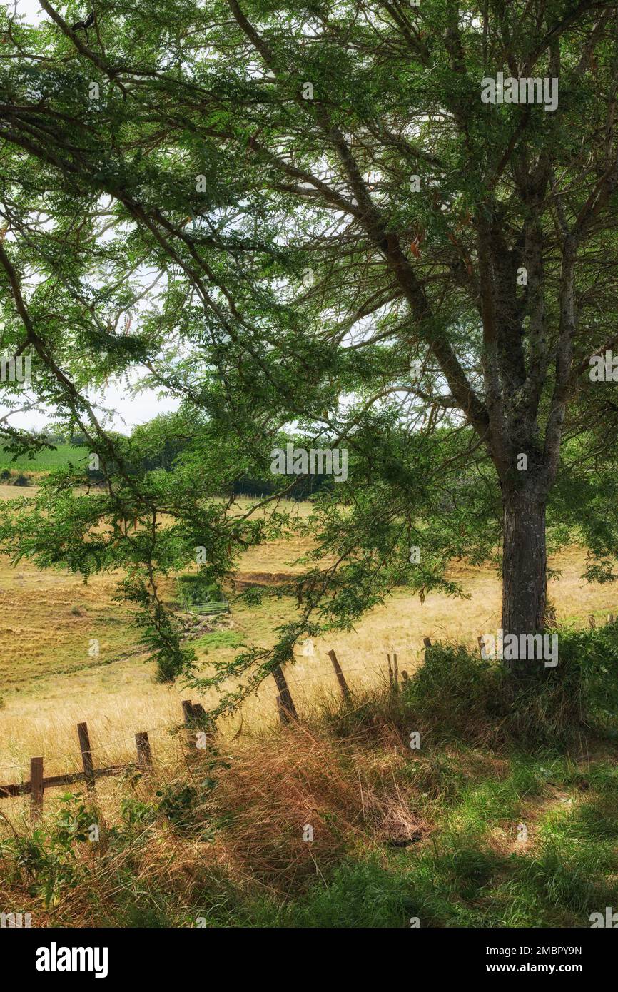 Countryside, farmland and forest - close to Lyon, France. A series of ...