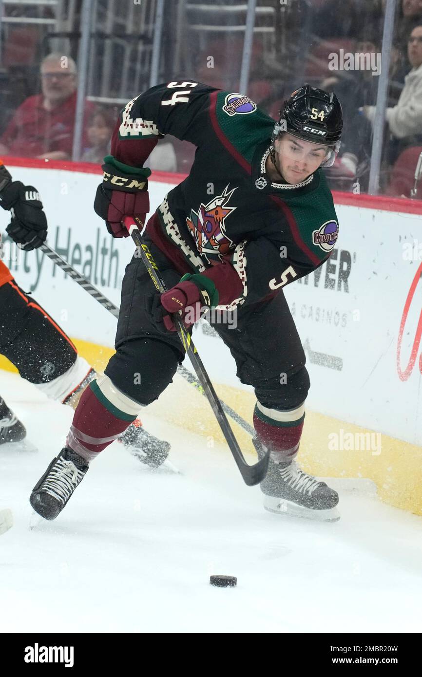 Arizona Coyotes defenseman Cam Dineen (54) in the first period during ...