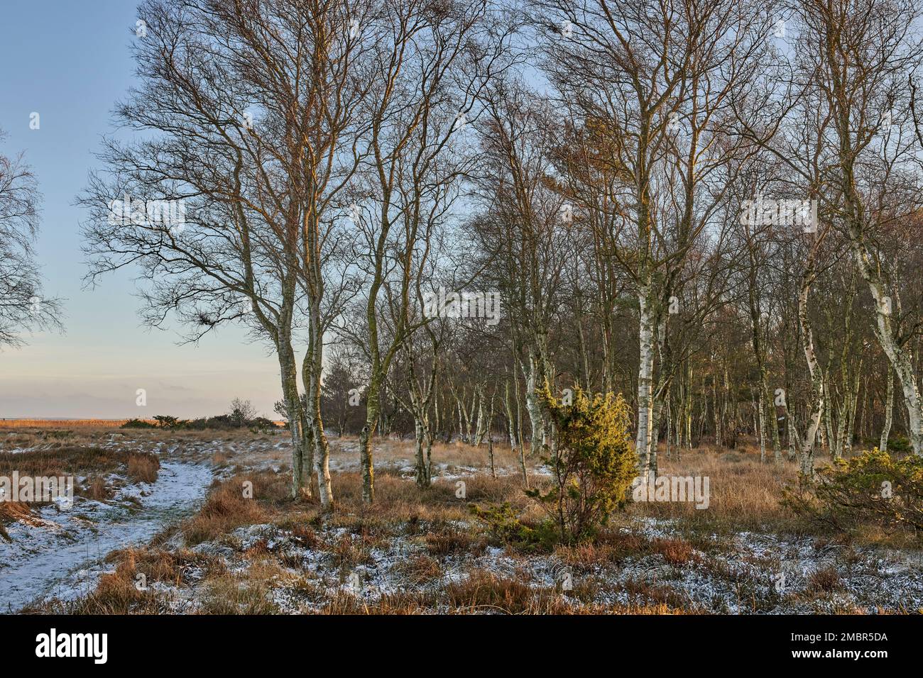 Danish Winter landscape by the coast of Kattegat. Photos of Danish ...