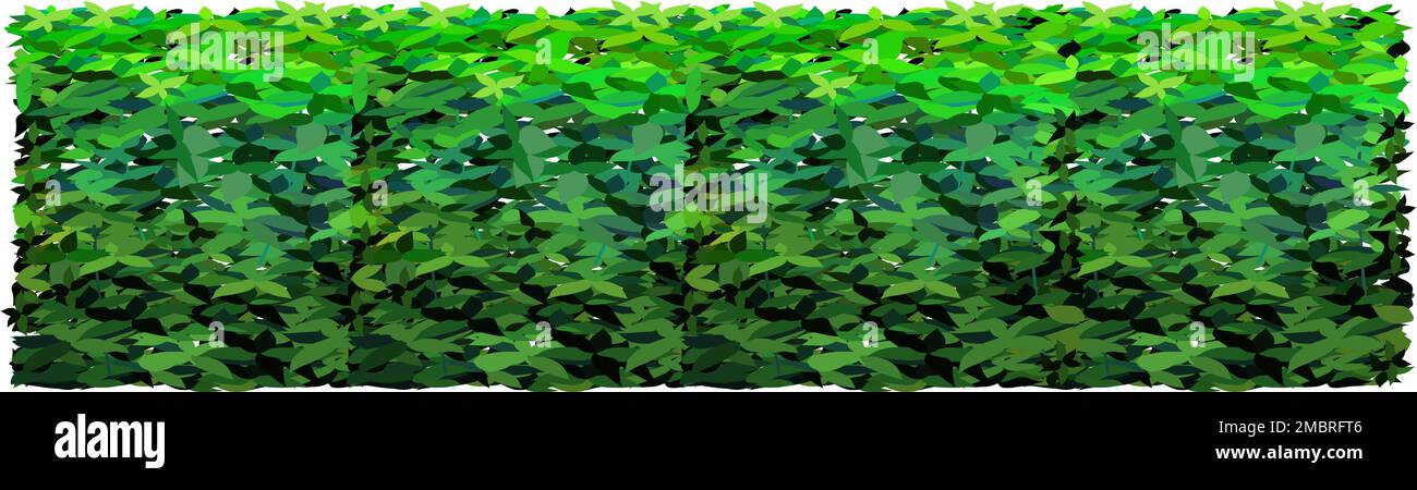 Realistic garden shrub, seasonal bush, boxwood, tree crown bush foliage ...