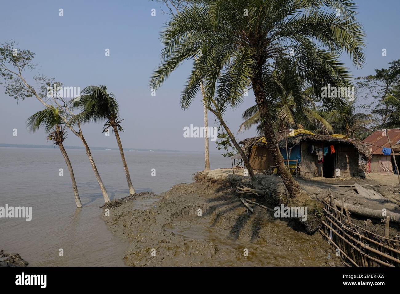 Houses and trees affected during the 2020 Cyclone Amphan sit on the ...
