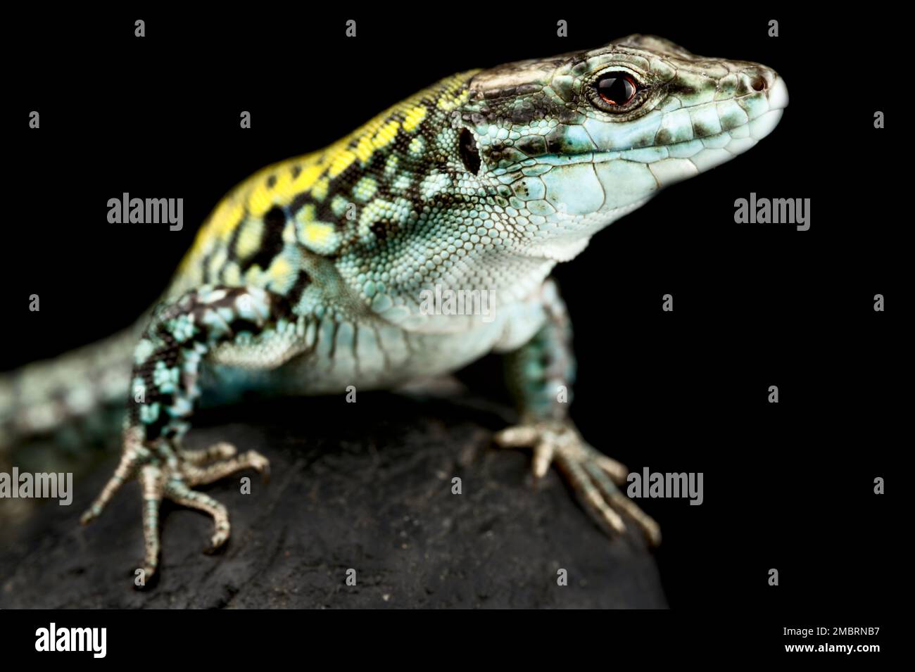 From extreme southern Italy Stock Photo - Alamy