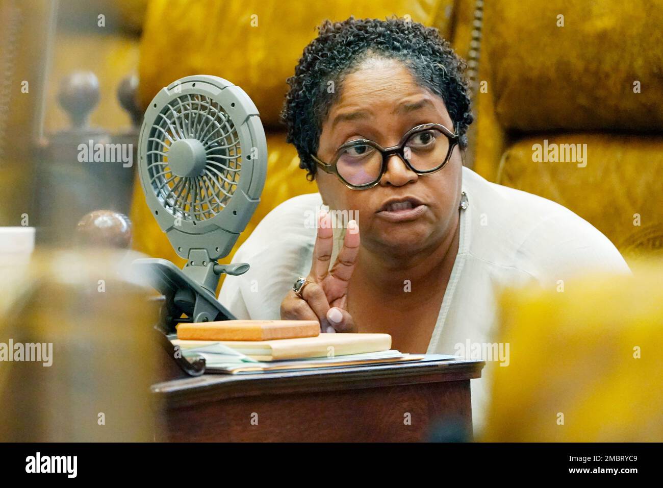 Rep. Sonya Williams-Barnes, D-Gulfport, speaks to a colleague in the ...