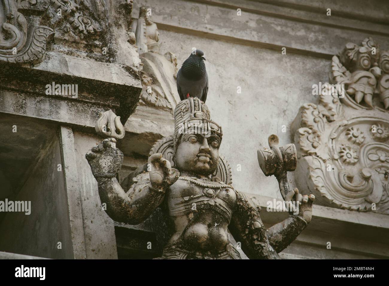A pigeon resting on the head of an ancient Hindu statue at a local ...