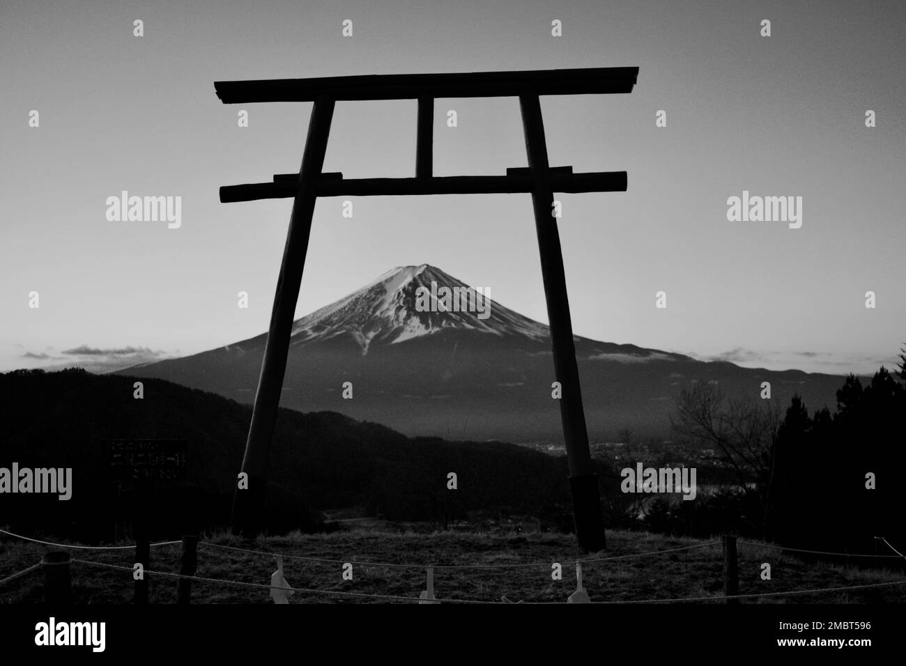A grayscale of the Japanese torii gates with the Mount Fuji in the ...