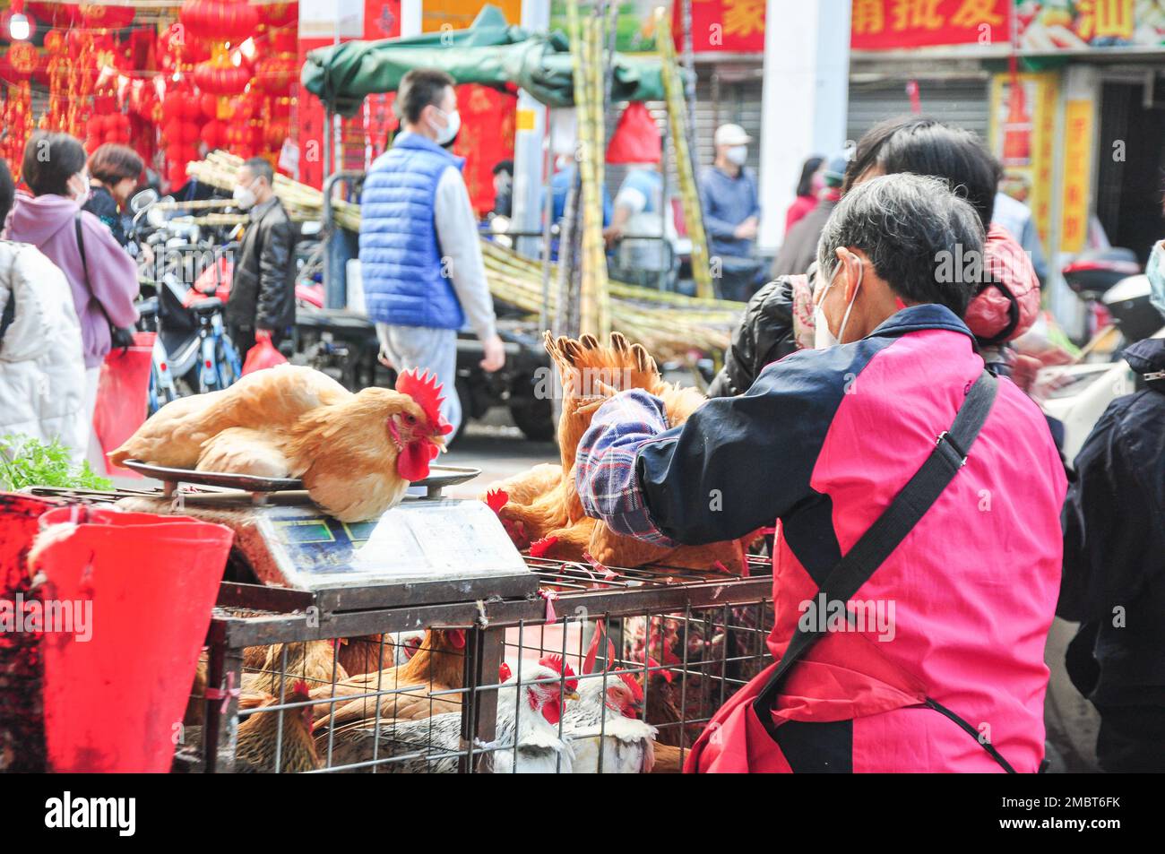 Chinese people choose New Year goods at the Shuijie Street Market for ...