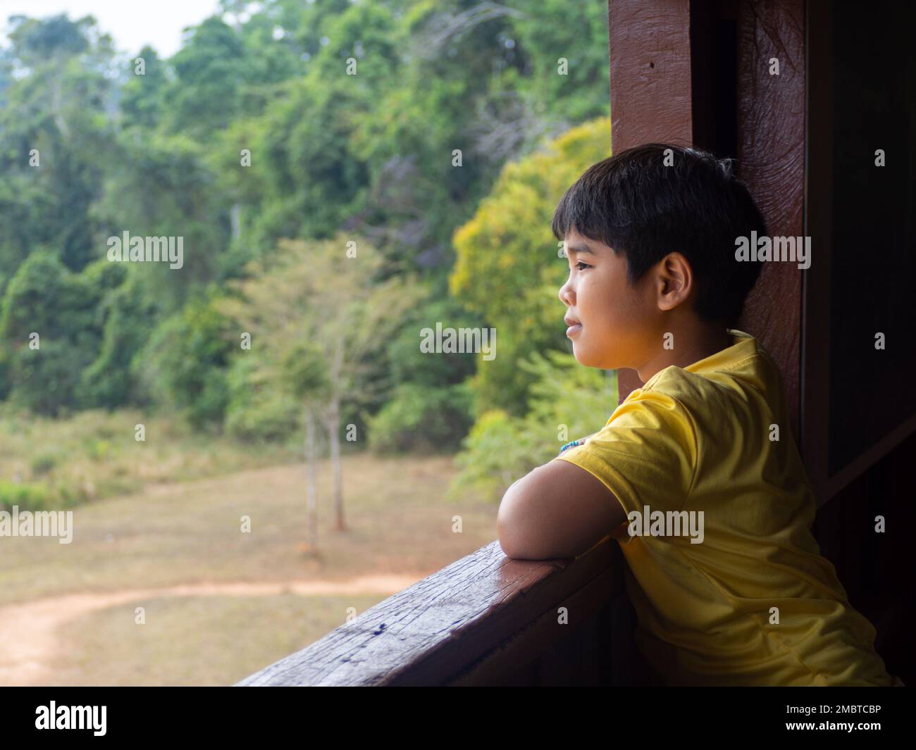 boy looking out window looking at the green forest Stock Photo - Alamy