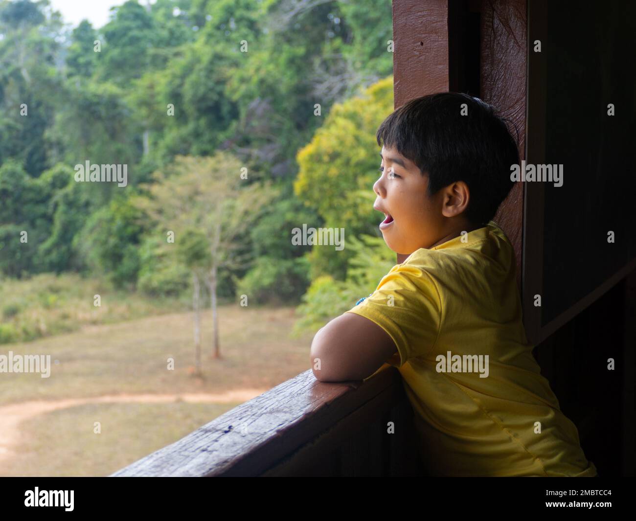 boy looking out window looking at the green forest Stock Photo - Alamy