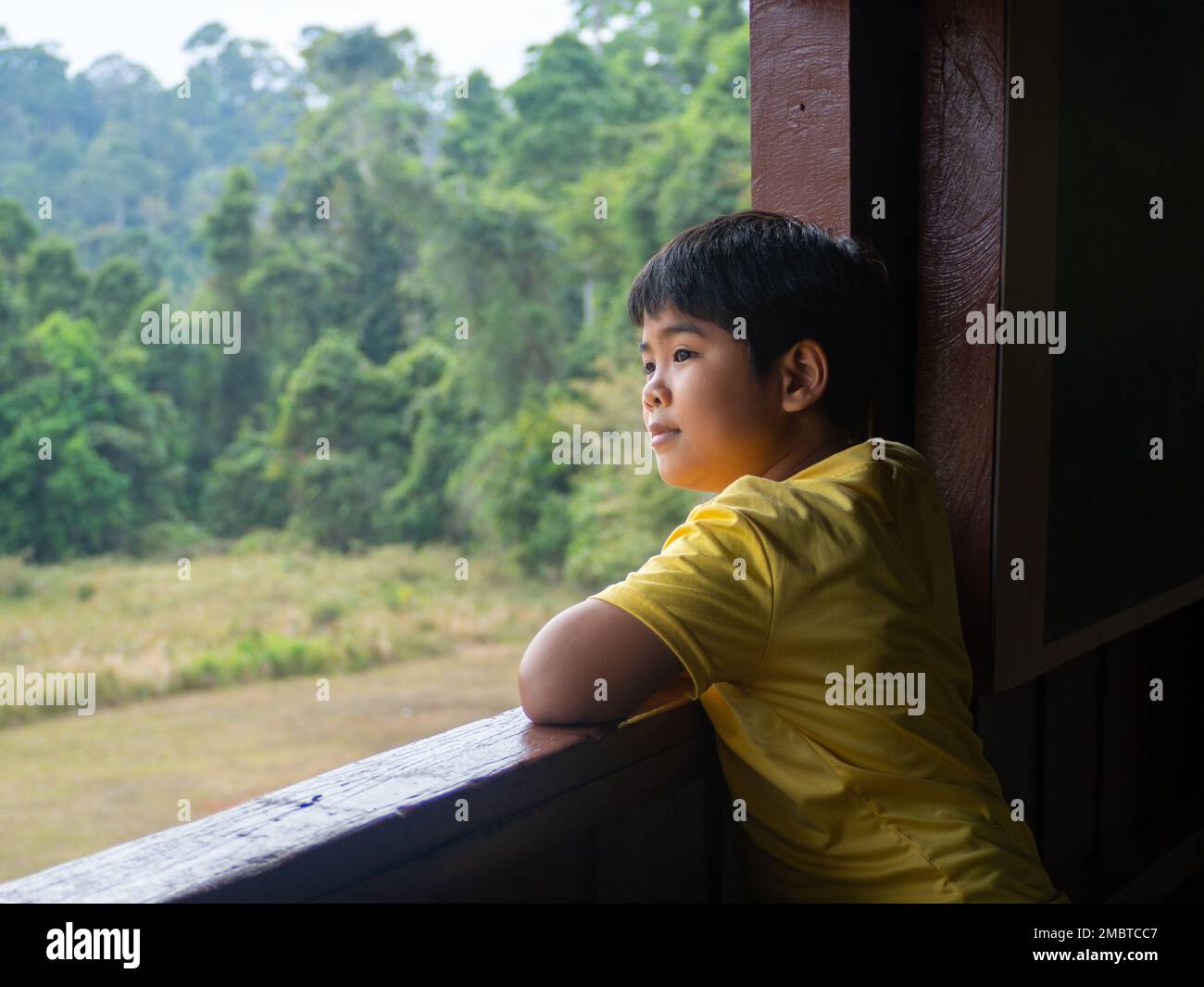 boy looking out window looking at the green forest Stock Photo - Alamy