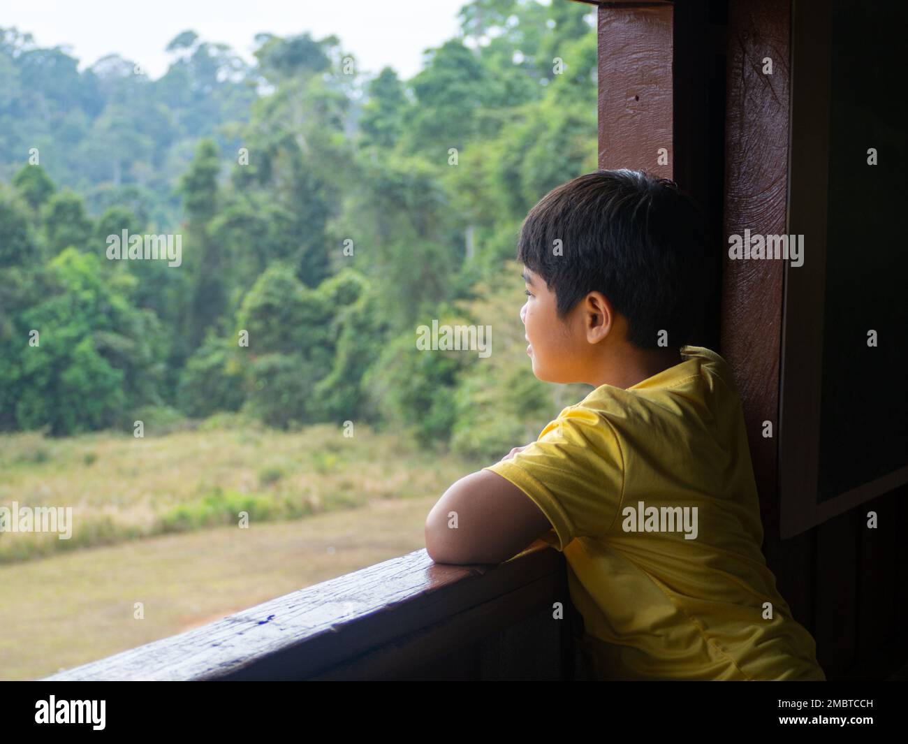boy looking out window looking at the green forest Stock Photo - Alamy
