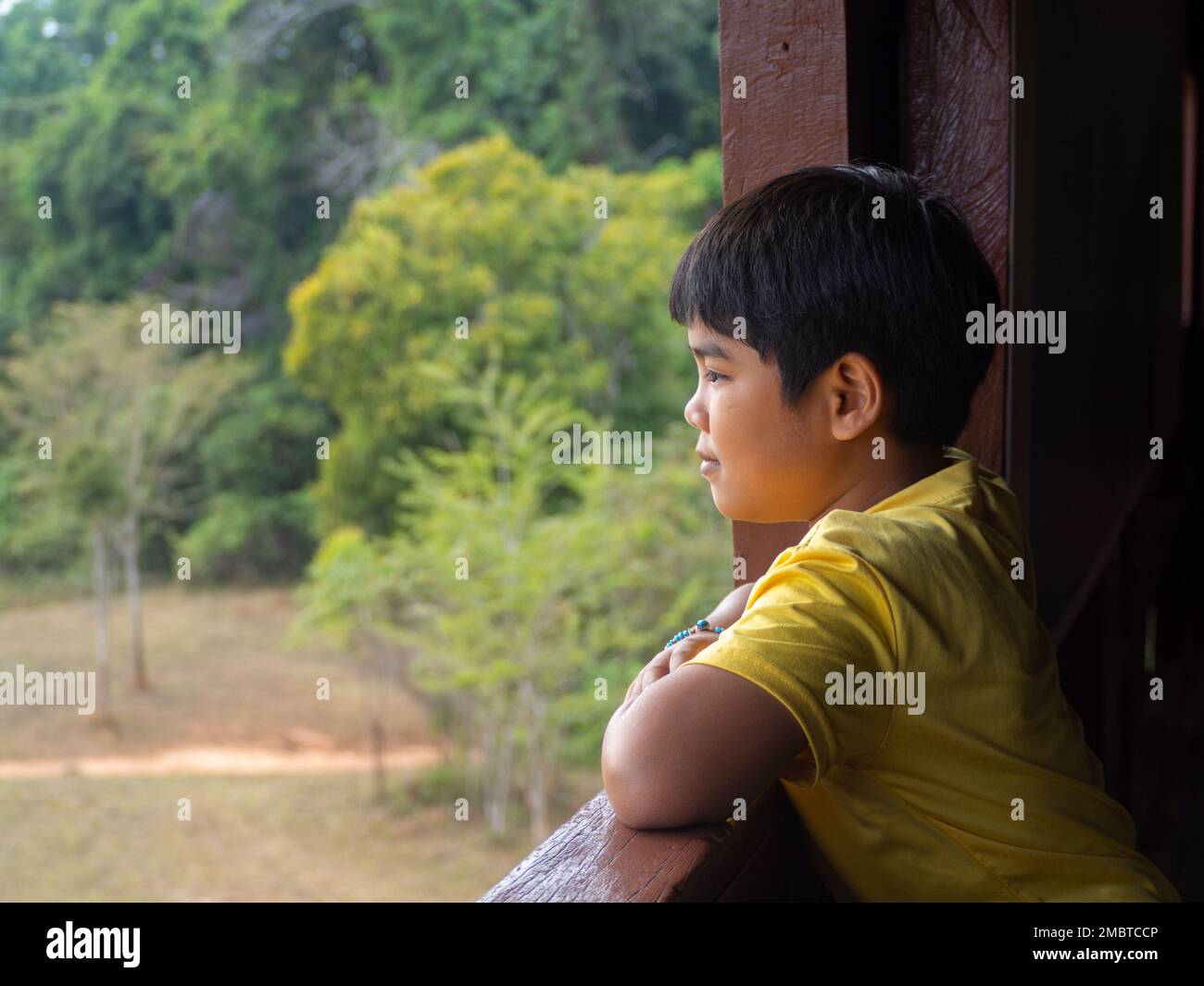 boy looking out window looking at the green forest Stock Photo - Alamy