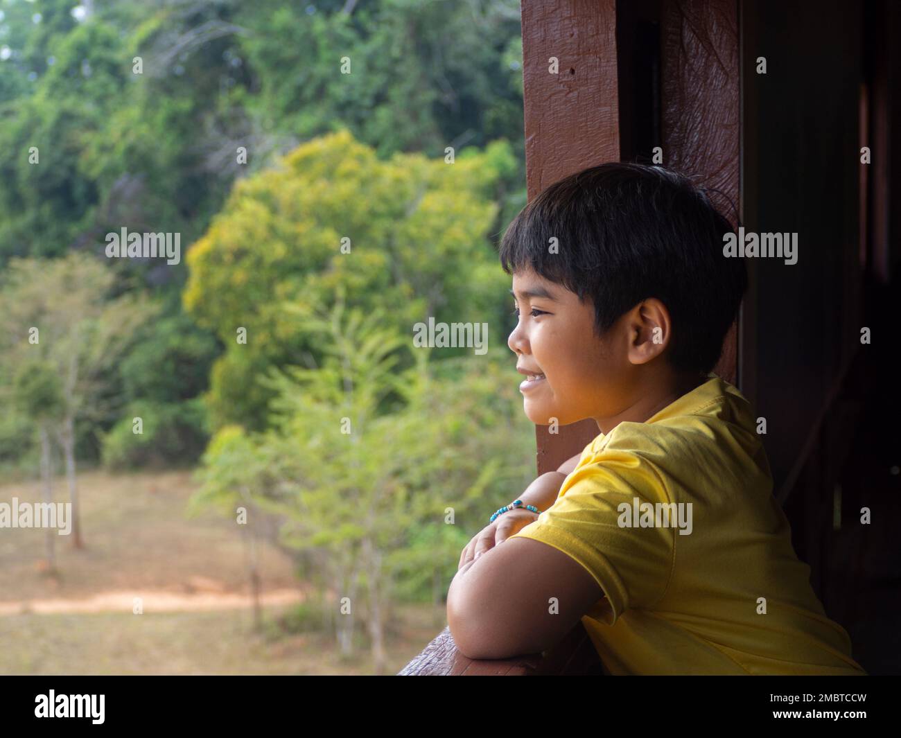 boy looking out window looking at the green forest Stock Photo - Alamy