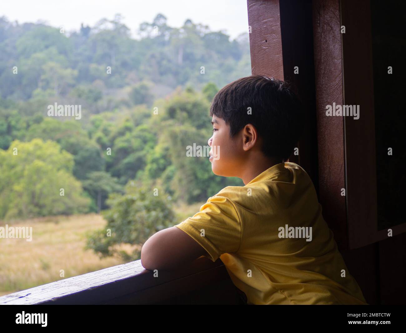 boy looking out window looking at the green forest Stock Photo - Alamy