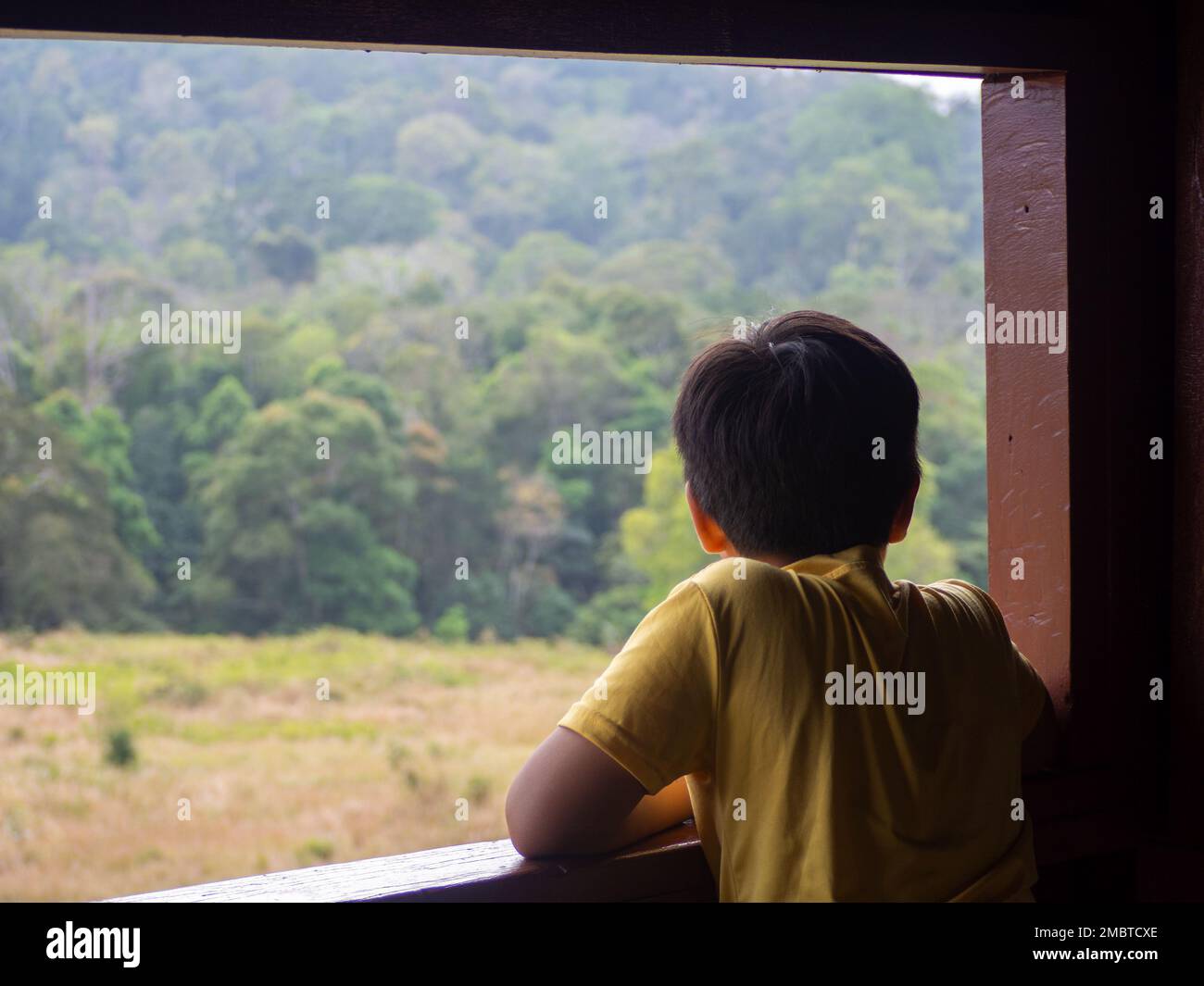 boy looking out window looking at the green forest Stock Photo - Alamy