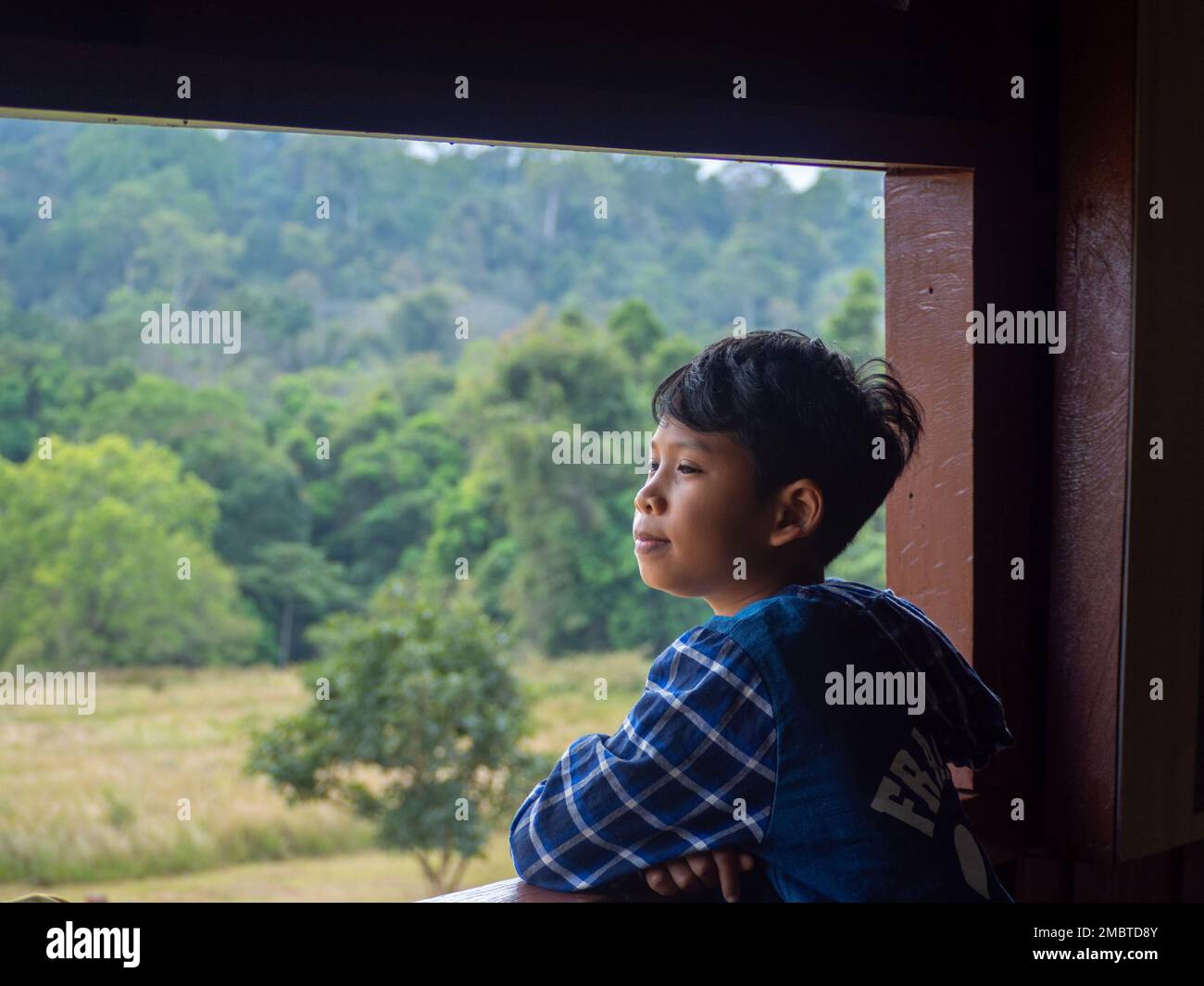boy looking out window looking at the green forest Stock Photo - Alamy