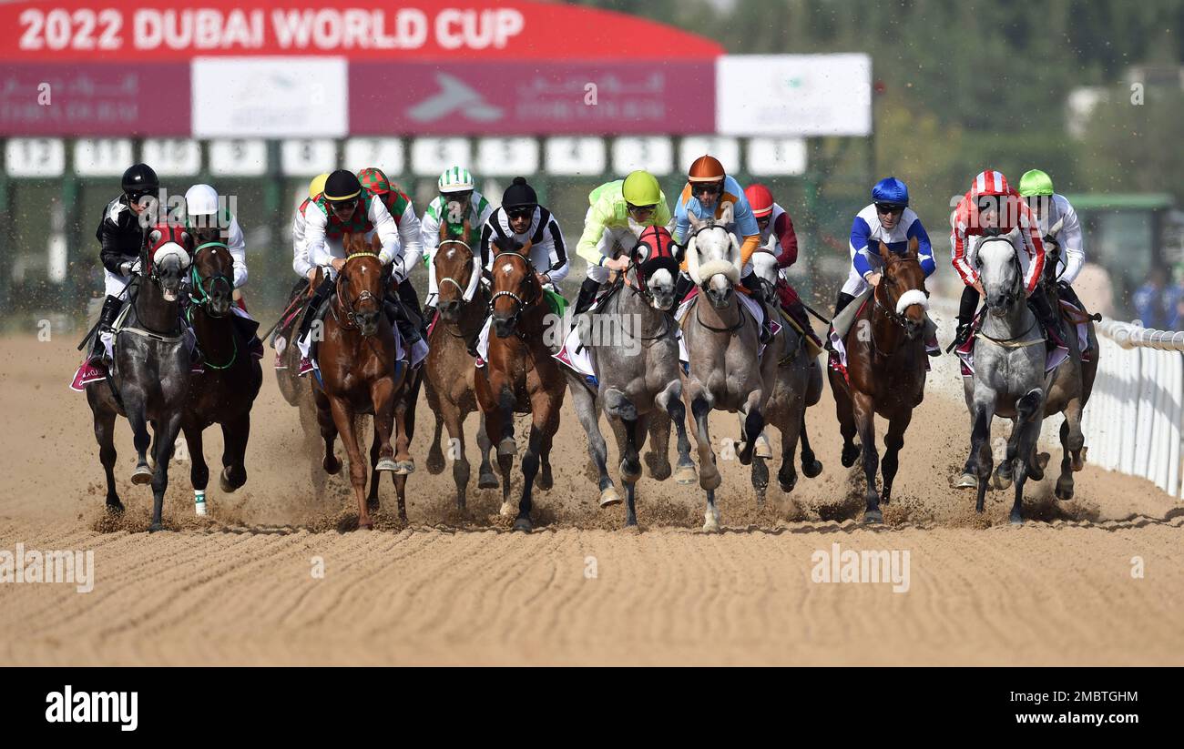Horses gallop after the start of Group 1 Dubai Kahayla Classic for ...