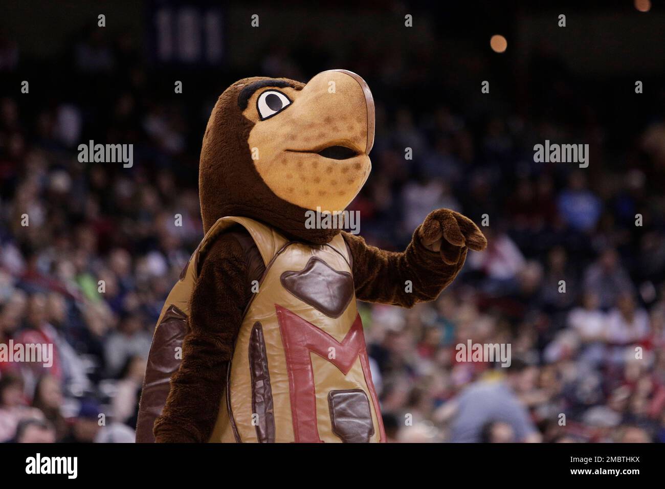 Maryland mascot Testudo performs during a college basketball game in ...