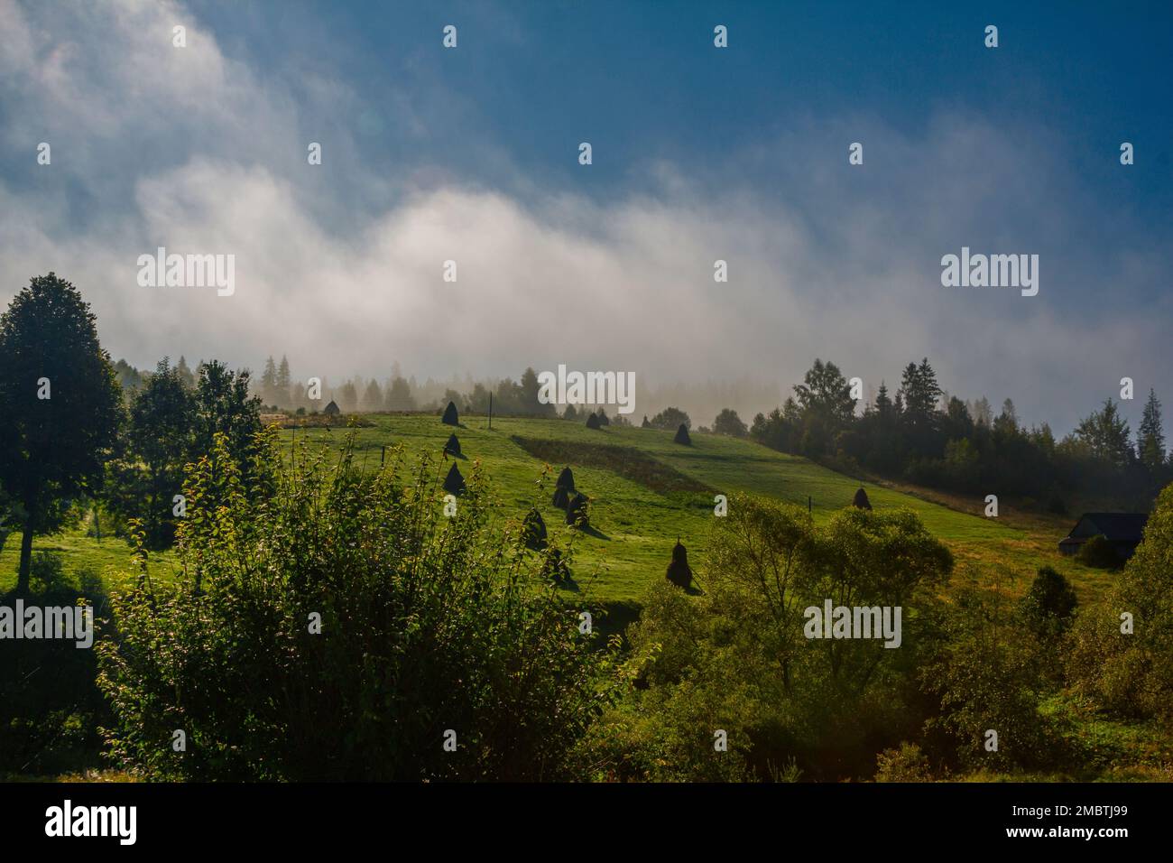 Summer landscape mountain hi-res stock photography and images - Alamy