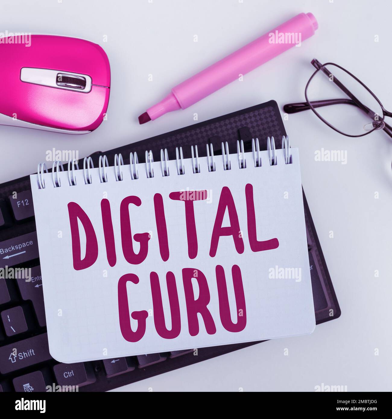 Text sign showing Digital Guru. Business idea teacher and intellectual ...