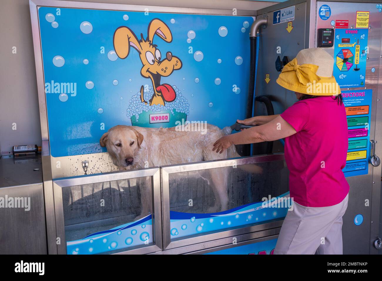Self service pet wash hi-res stock photography and images - Alamy