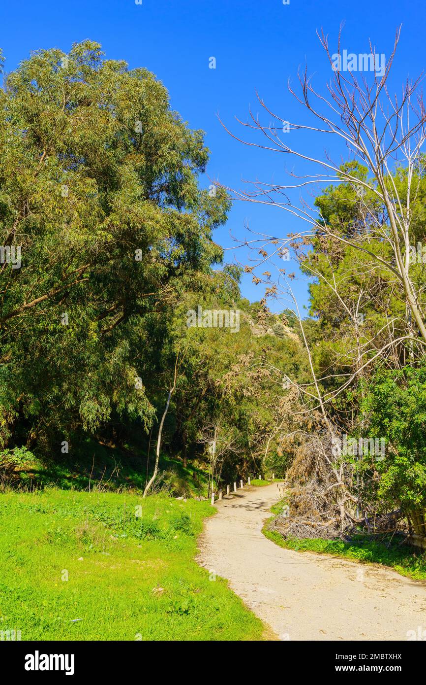 View of a footpath and trees, in the Nahal Giborim (Wadi Rushmiya ...