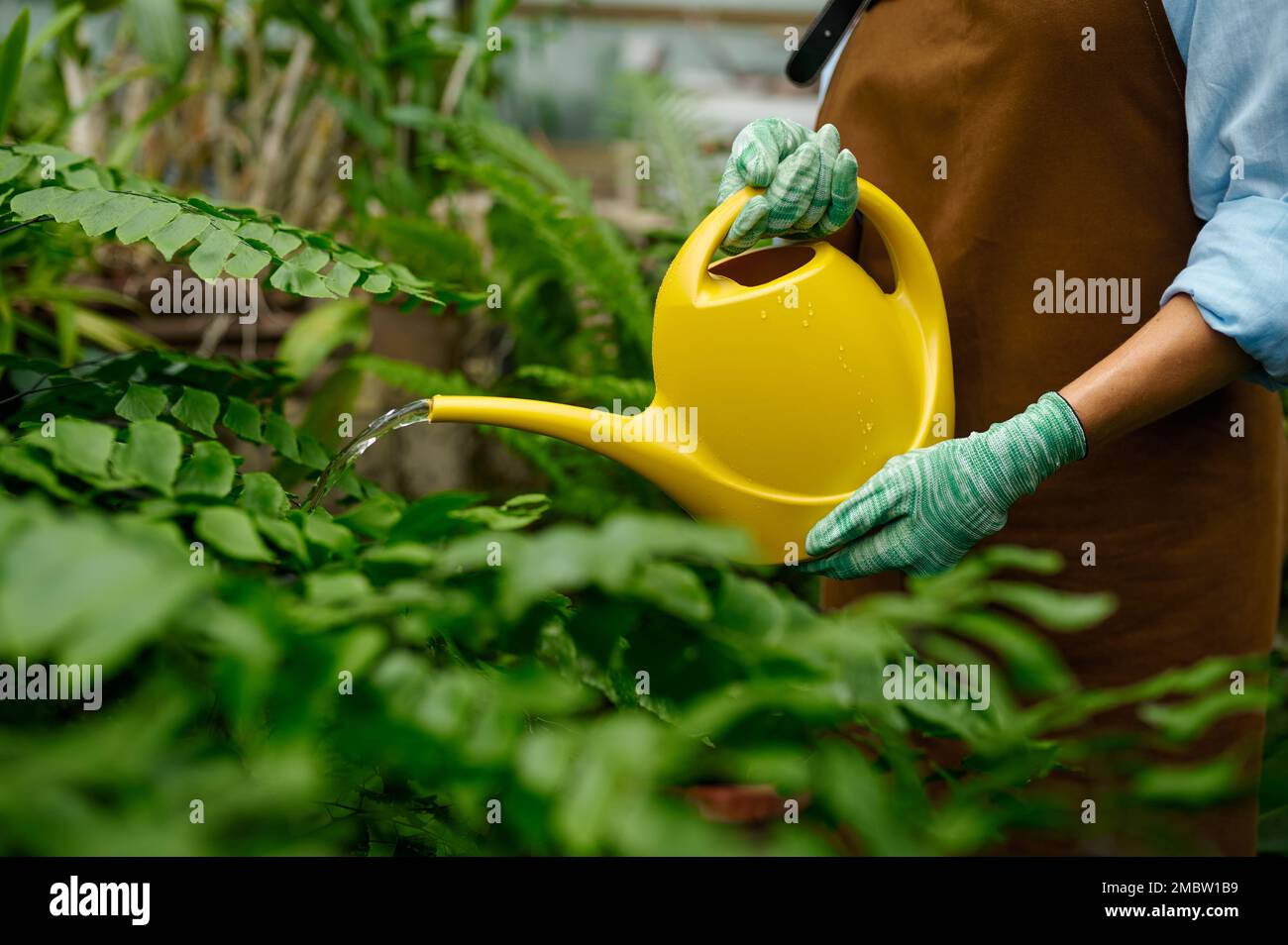Young woman watering flower plants using garden tools Stock Photo - Alamy