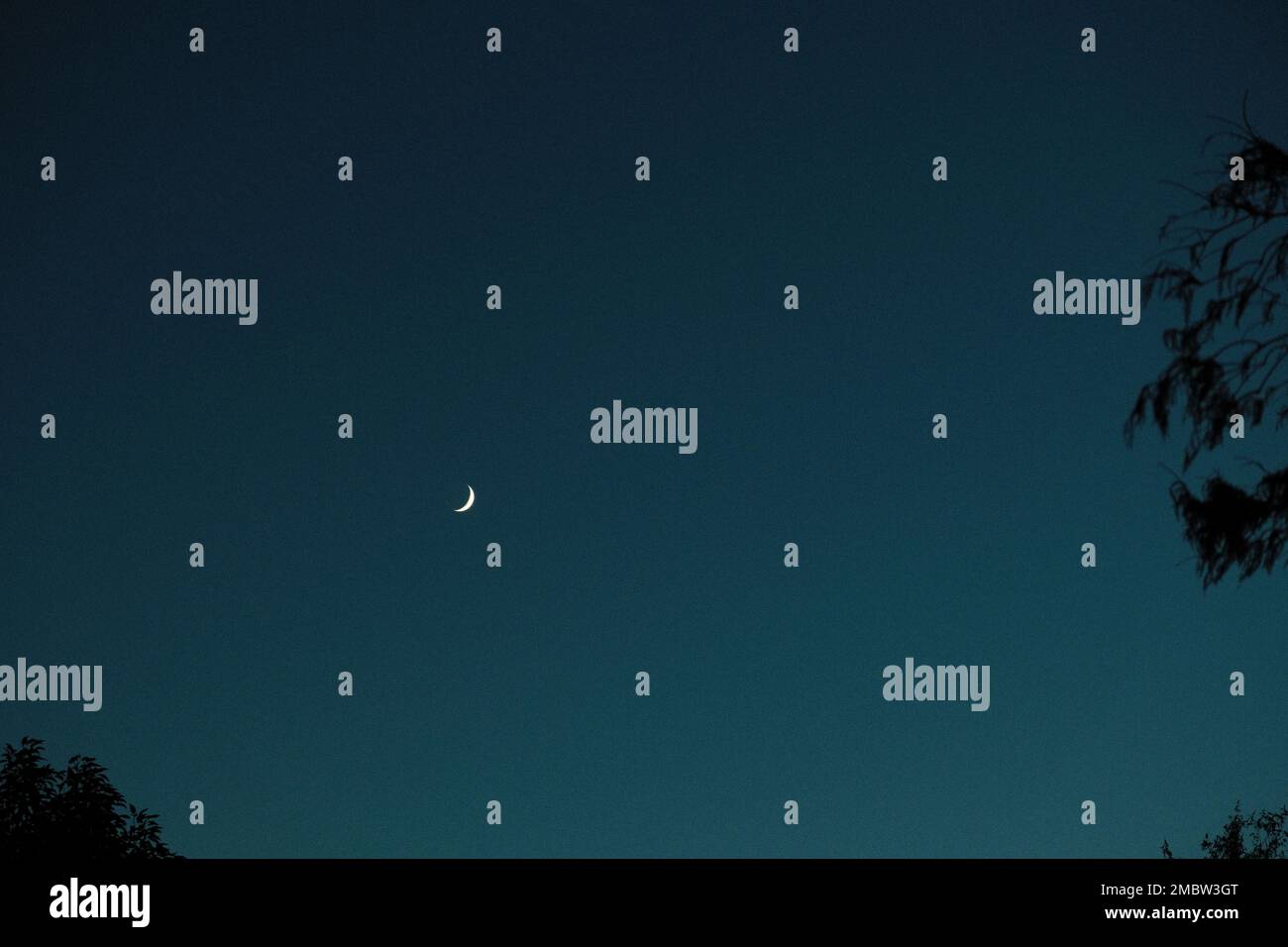A scenic of the crescent moon and start seen in the sky during the ...