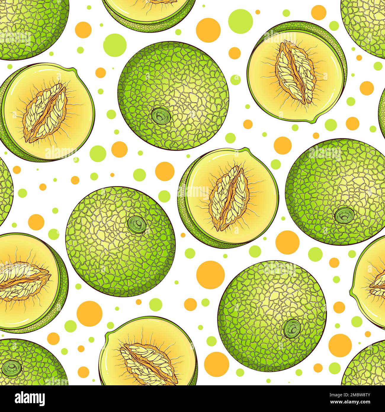 Melon detail Stock Vector Images - Alamy