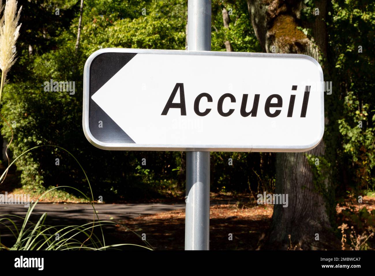 accueil in french text panel means welcome entry reception with arrow ...