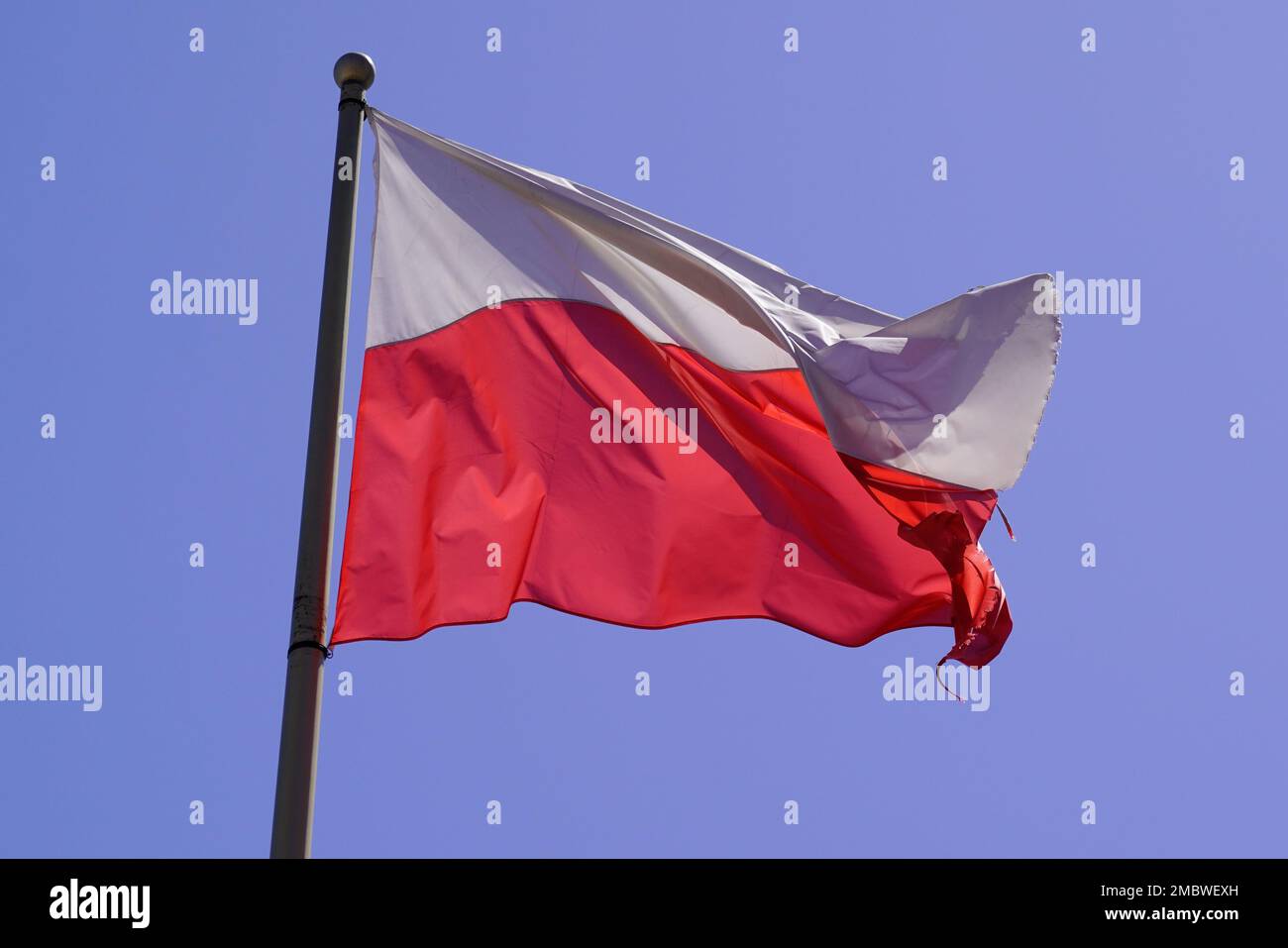 poland polish flag mat wave over a blue sky Stock Photo - Alamy