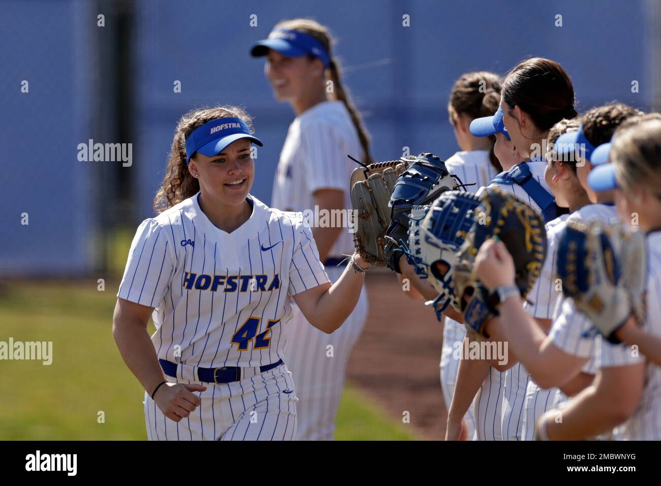 Hofstra's third baseman Sam Ward high-fives teammates against Iona ...