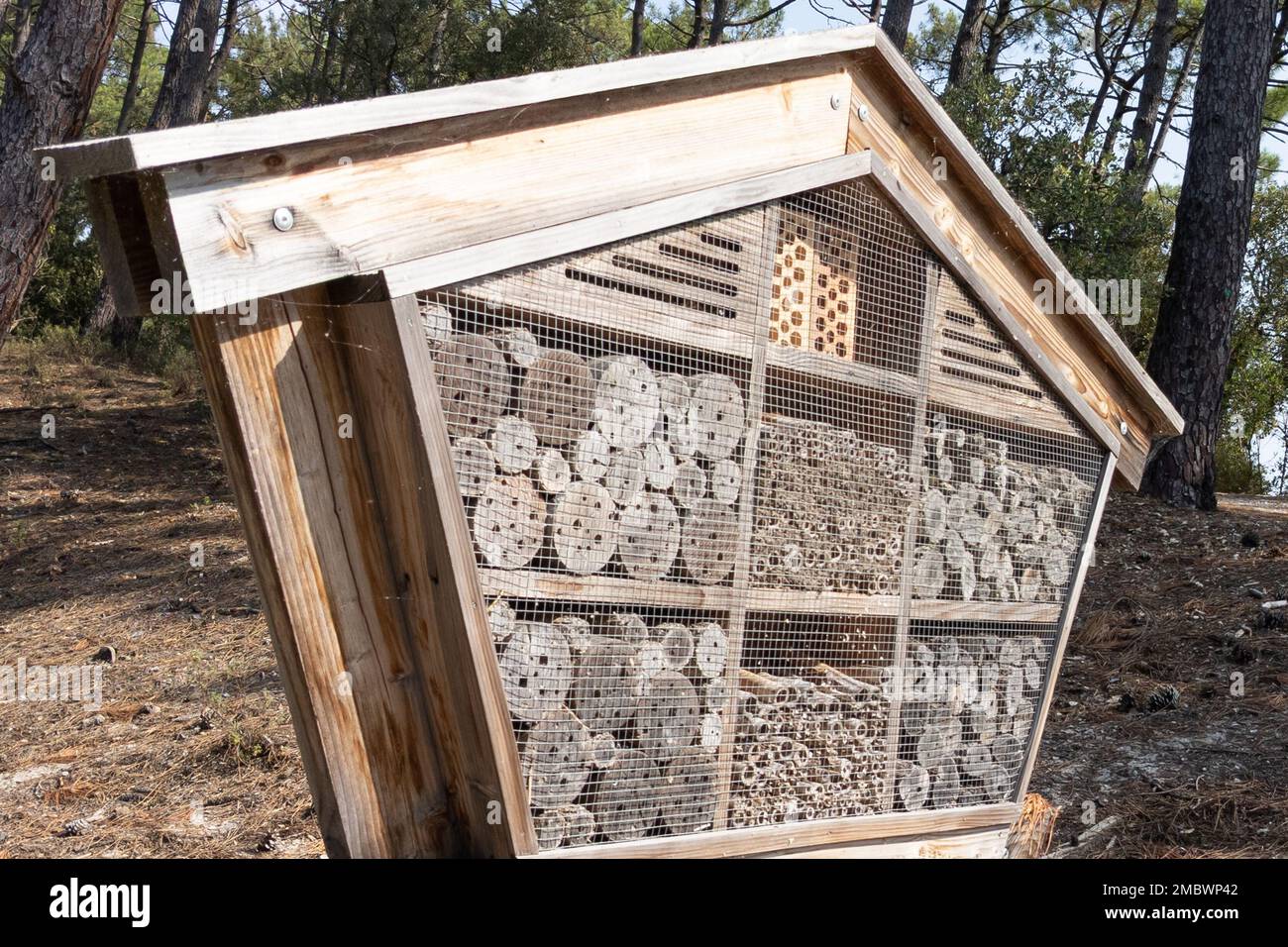 large bug hotel insect house wooden hut gives protection and nest aid ...