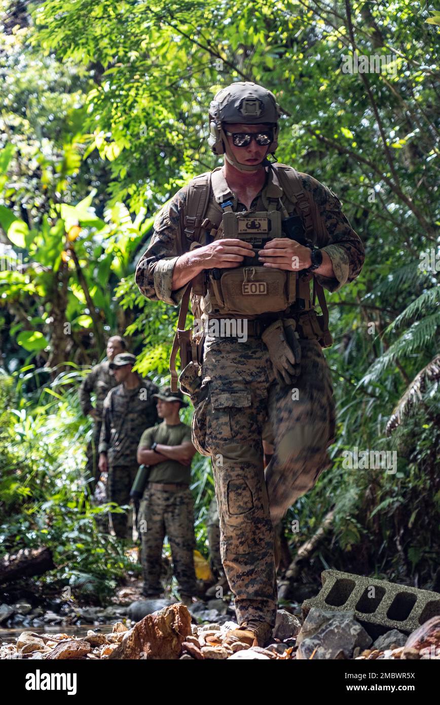 U.S. Marine Corps Sgt. Connor Paul, an explosive ordnance technician ...