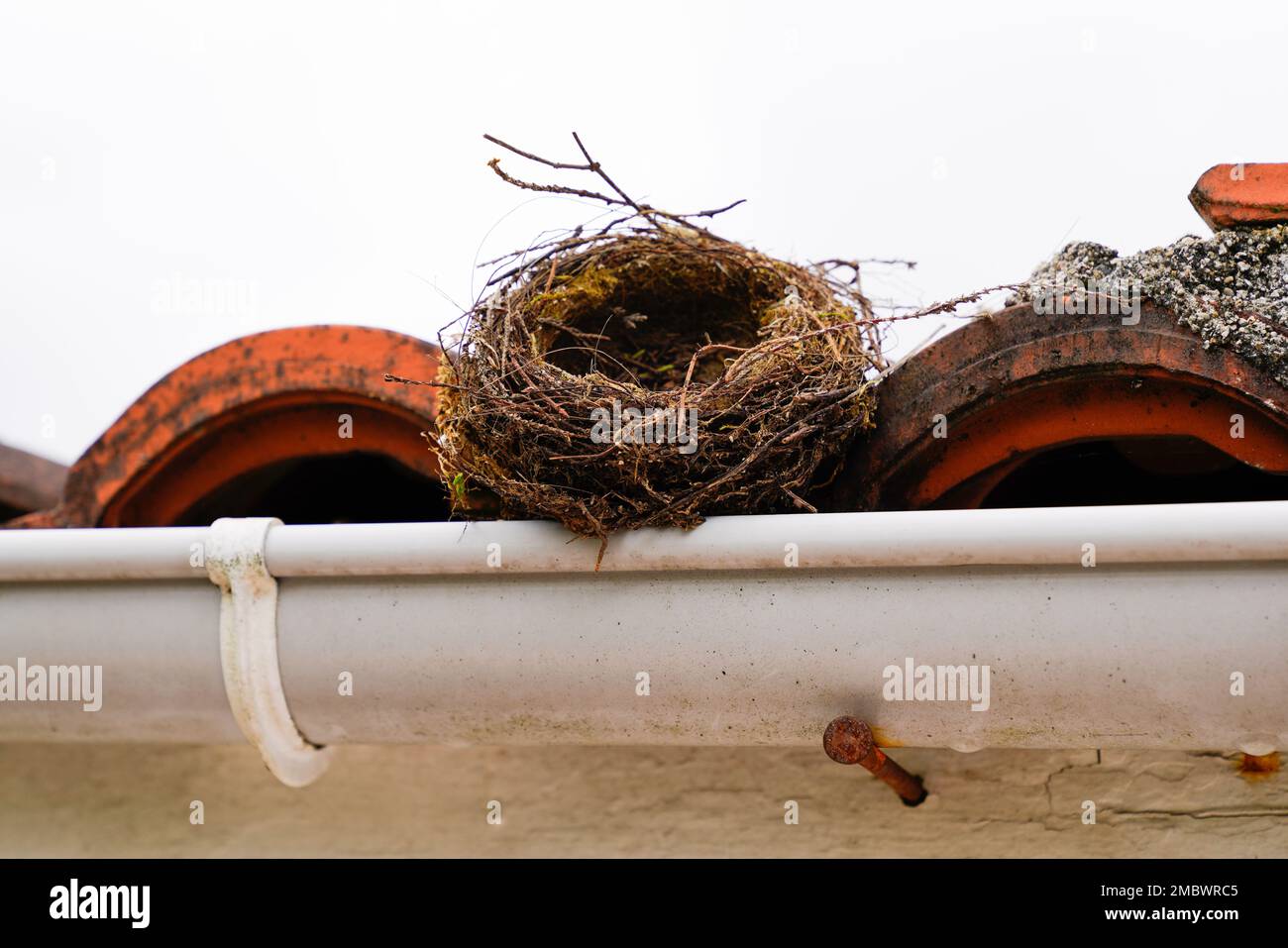 Bird nest empty on roof white house facade Stock Photo - Alamy