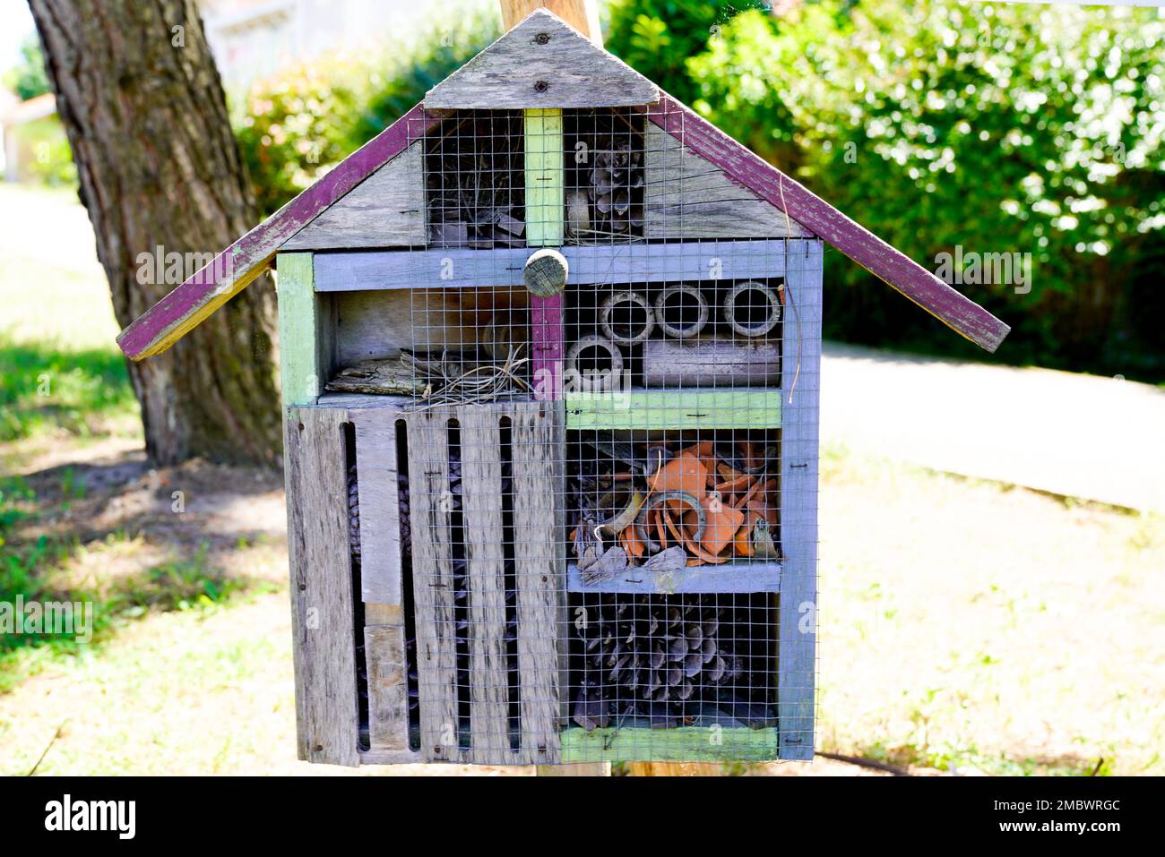 bug hotel wooden insect house ladybird bee home in ecological gardening ...