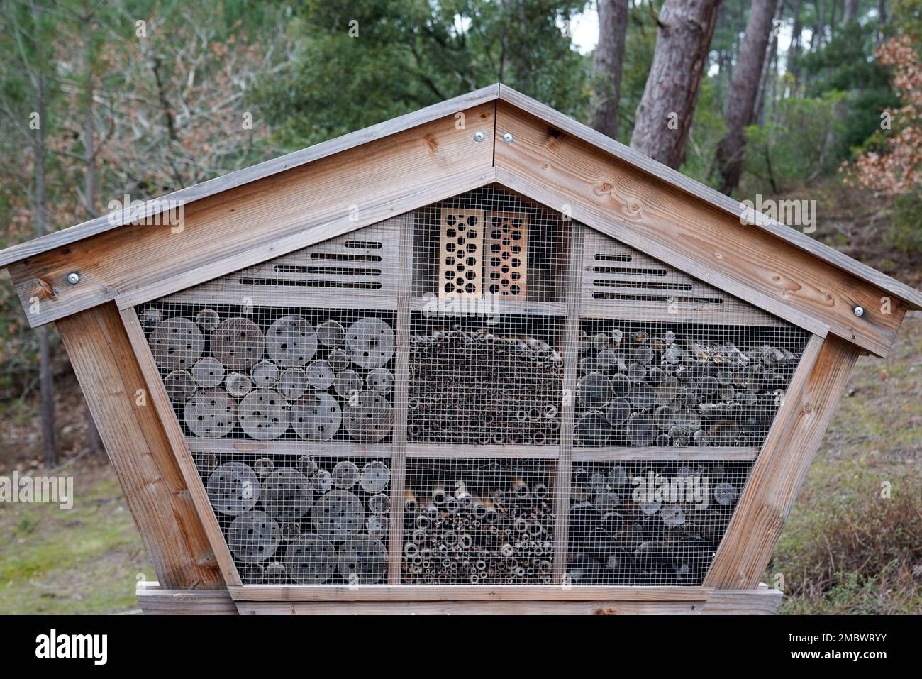 Wooden insect hotel wood shelter for wild insects in nature forest ...