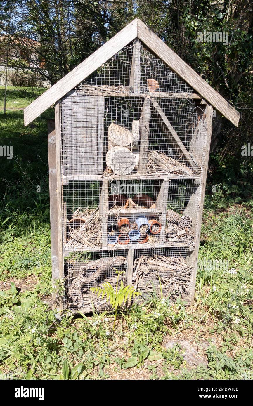 wood insect house bug wooden hotel ladybird bee home to butterfly ...