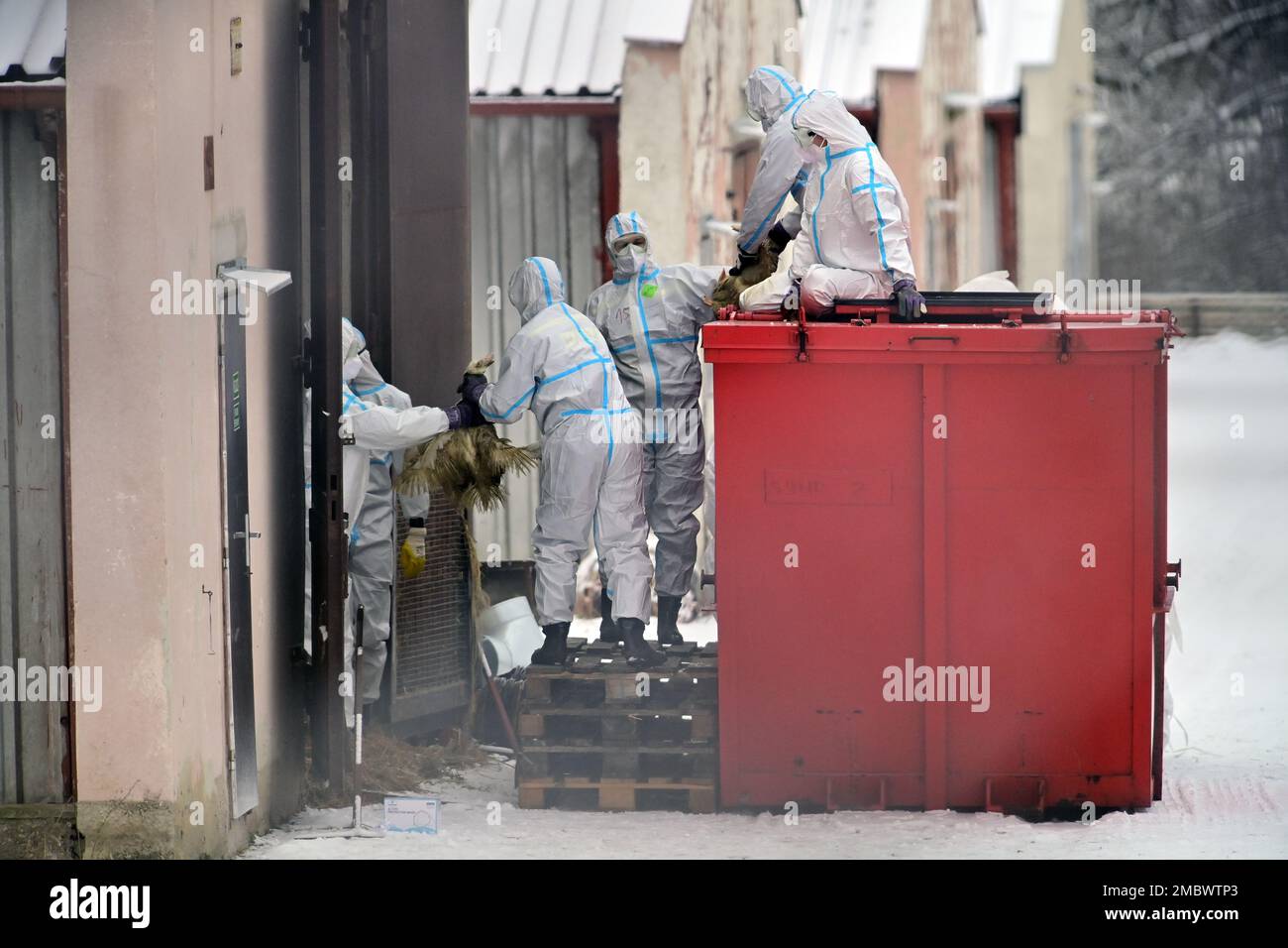 Dobrenice, Czech Republic. 21st Jan, 2023. Firefighters liquidate duck ...