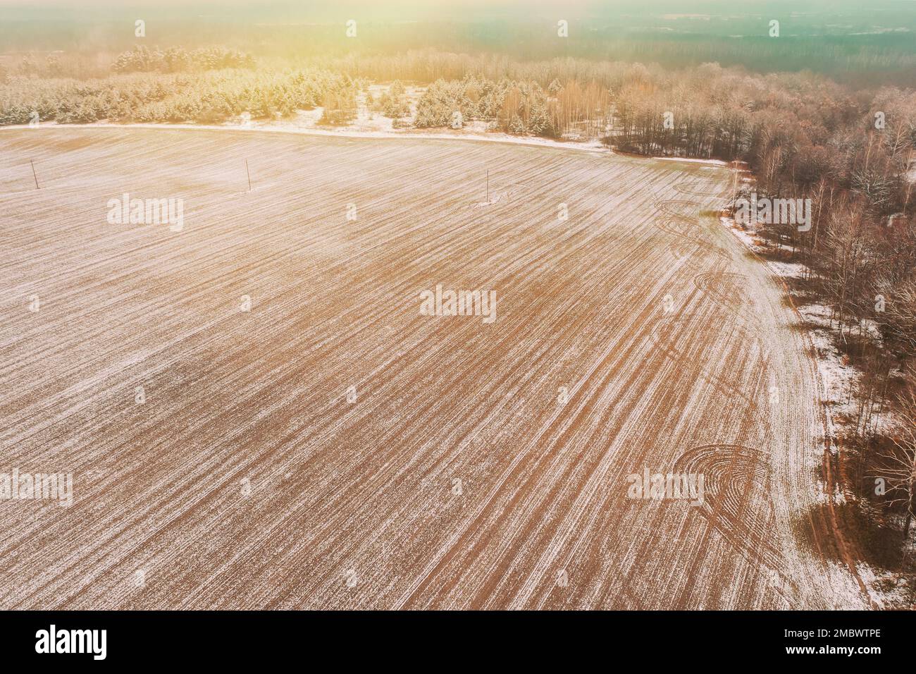Aerial view autumn field landscape with trails lines. Top view of empty ...