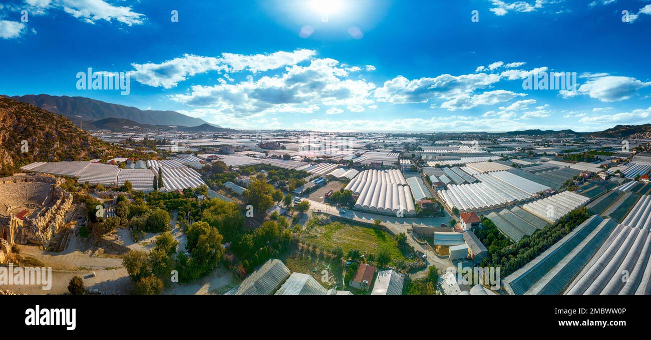 High angle drone aerial view of greenhouse fields of greens plantation ...