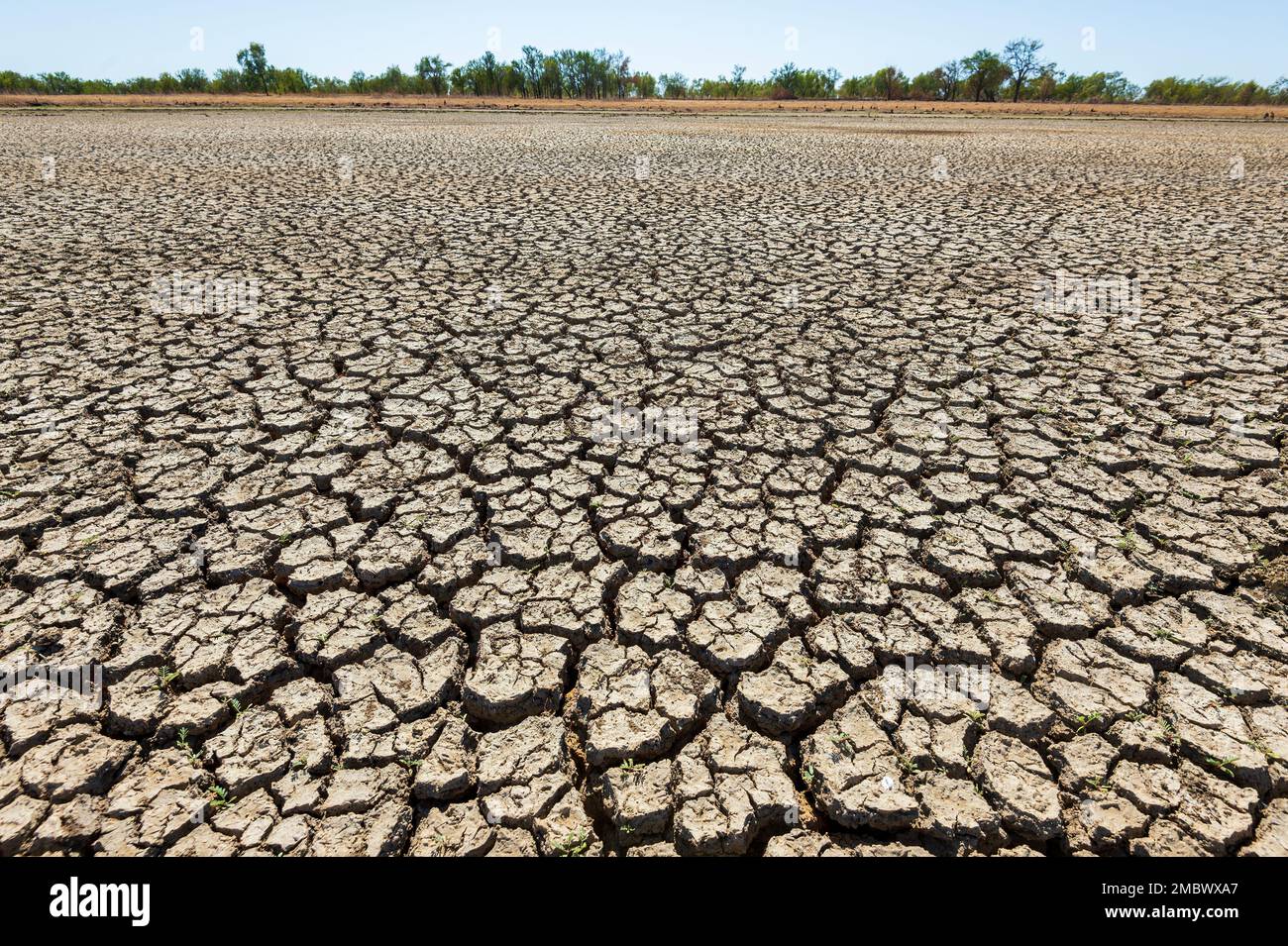Dried mud patterns at Mutton Hole Wetlands Conservation, Normanton ...