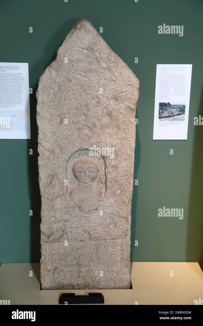 Gemelius hi-res stock photography and images - Alamy