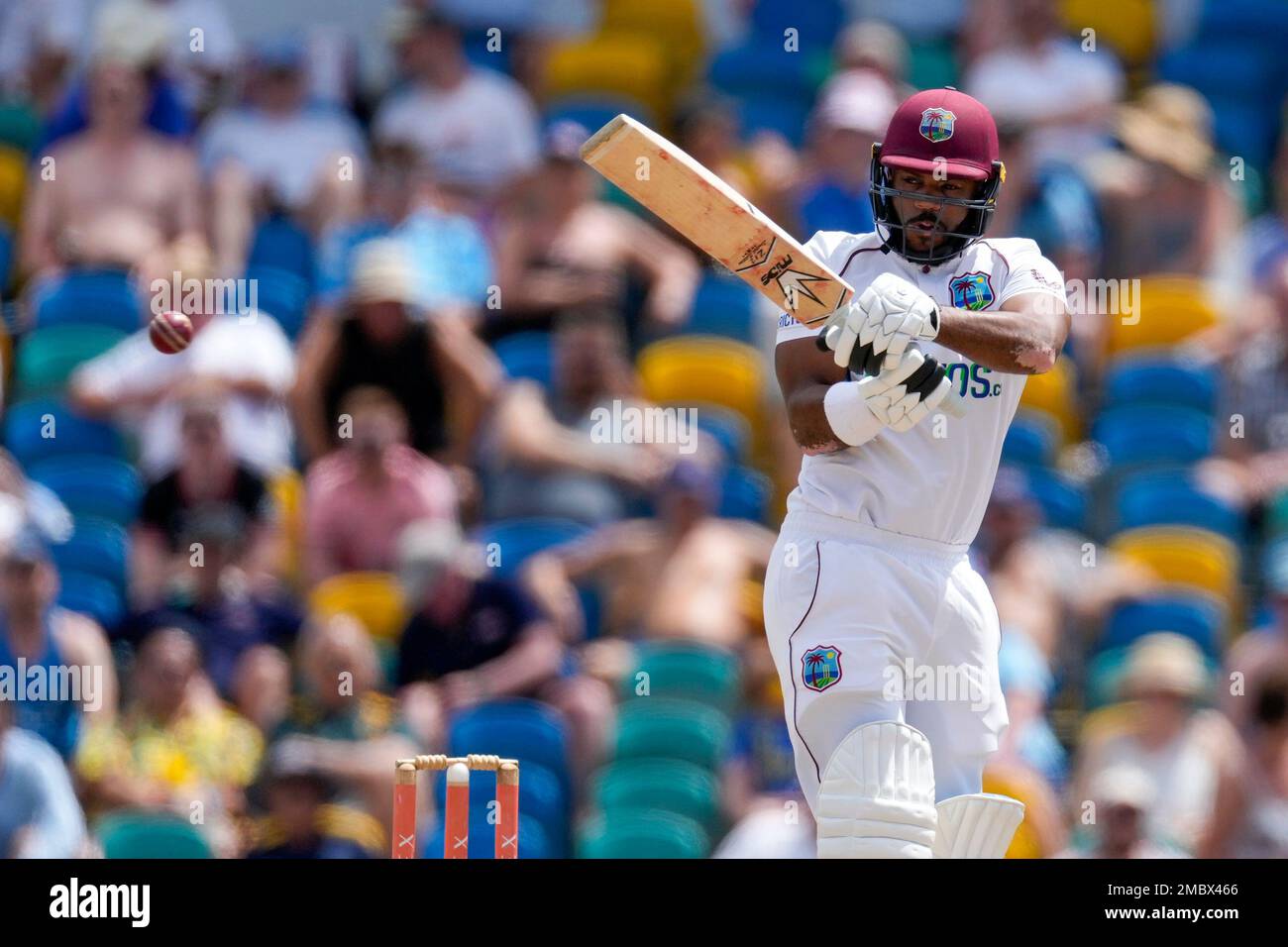 John Campbell Cricketer