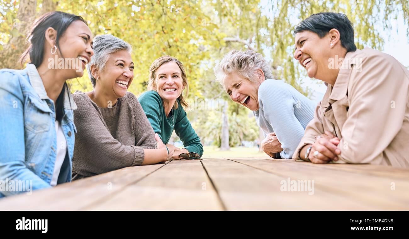 Park table, friends and women laughing at funny joke, crazy meme or ...